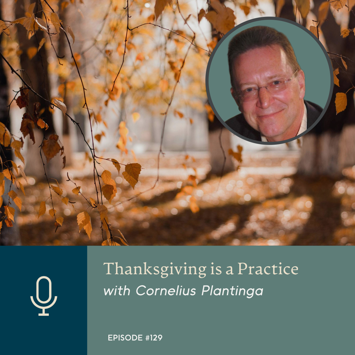 Episode 129 | Cornelius Plantinga: Thanksgiving is a Practice - The ...